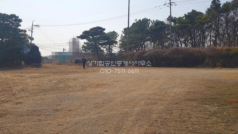 R22620 파주 All 대 약2470평 마당넓은 단독가든 상가 임대 매물 무권리 건물 2개동 각100여평