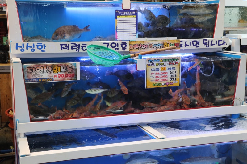 구룡포시장 구룡포항 상세안내회 해산물 대게 주차장 등 네이버 블로그