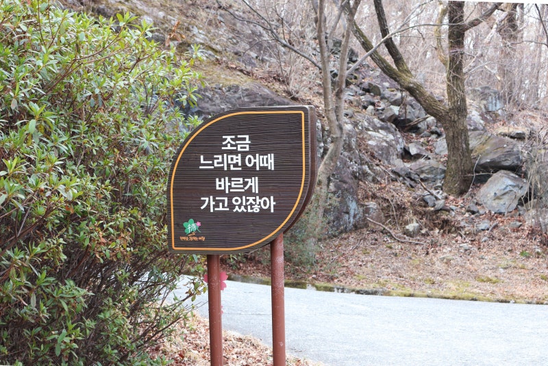 창원시 걷기 좋은 길💗 진해드림로드 장복하늘마루산길🌸 네이버 블로그