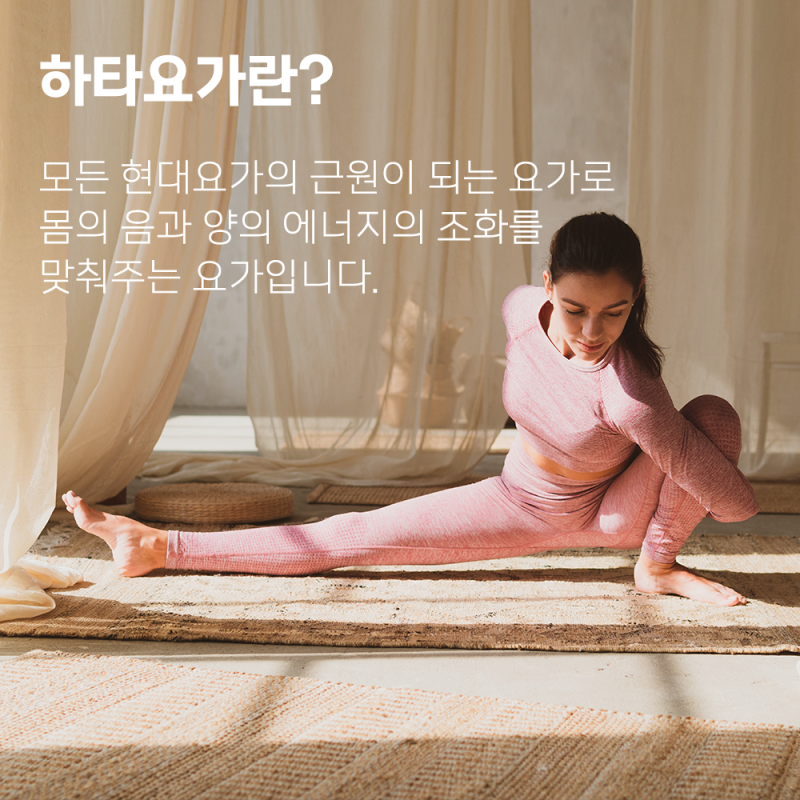 기초부터 깊은 하타요가까지 아트요가에서 구파발요가 지축요가 원흥요가 연신내요가 진관동요가 삼송요가은평구요가