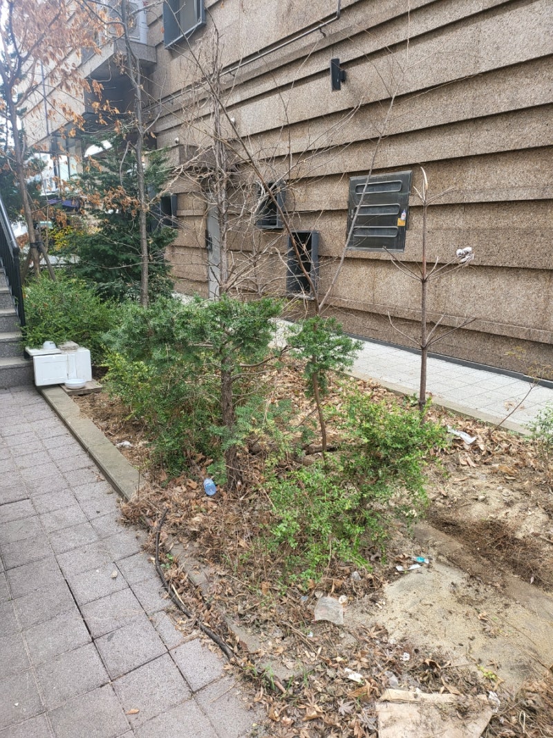 가연성폐기물 나뭇가지 낙엽 찌꺼기 폐목재 버리는 방법 네이버 블로그