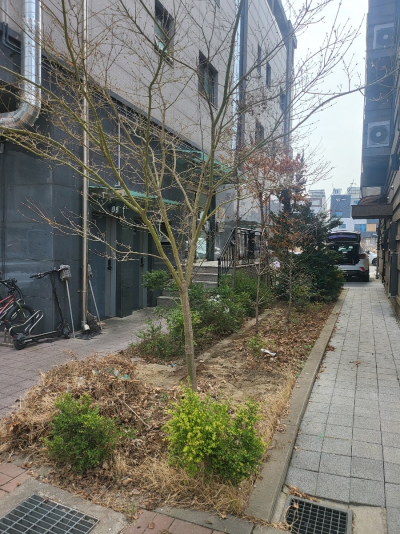 가연성폐기물 나뭇가지 낙엽 찌꺼기 폐목재 버리는 방법 네이버 블로그