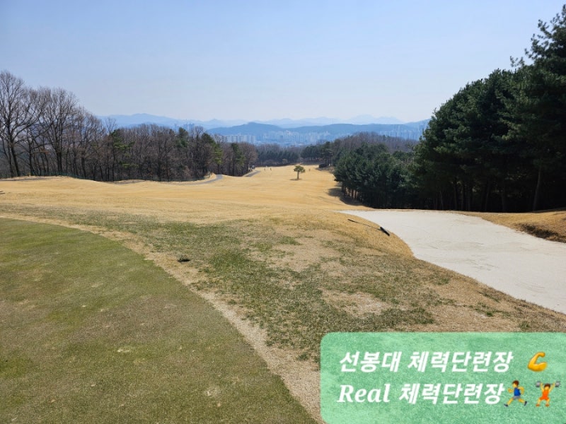 선봉대CC 찐 체력단련장 라운딩후기 : 네이버 블로그
