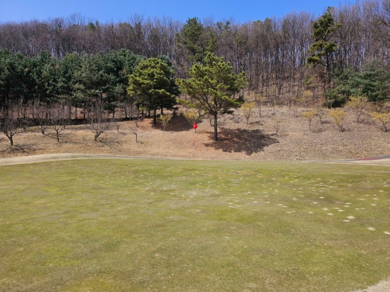 선봉대CC 찐 체력단련장 라운딩후기 : 네이버 블로그