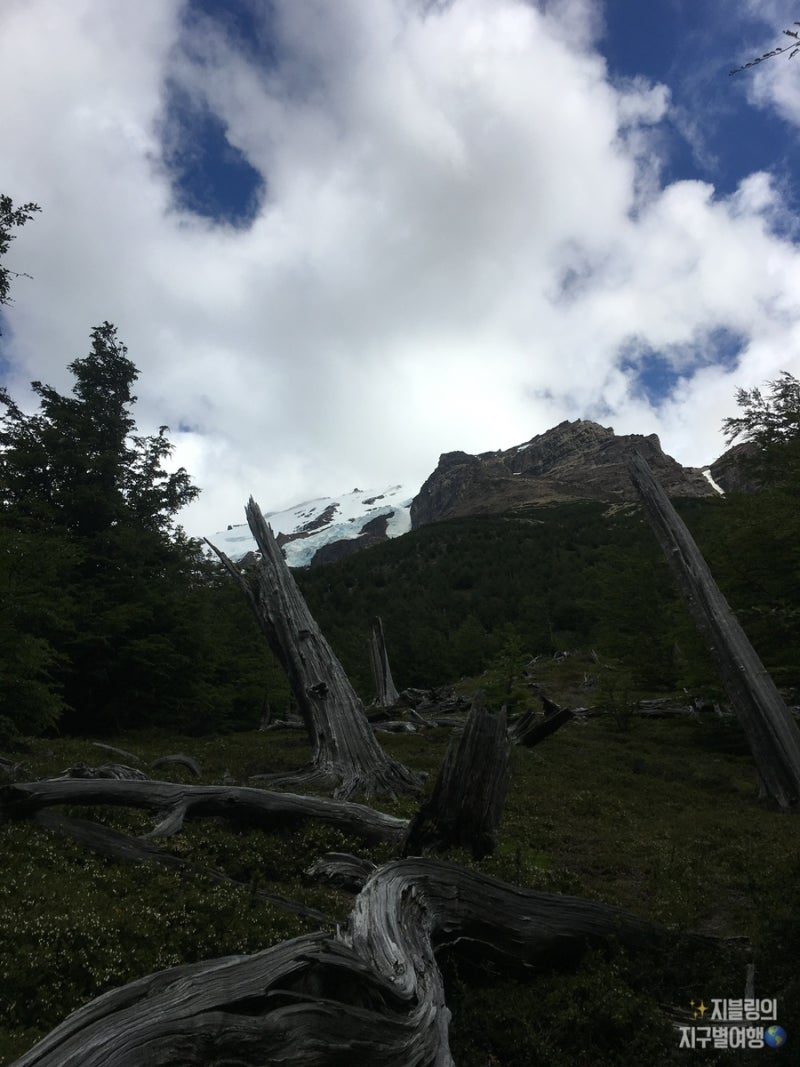 [칠레여행] 토레스 델 파이네 국립공원 여행 정보 총정리 :: 트레킹 코스 종류, 산장 숙소 예약 : 네이버 블로그