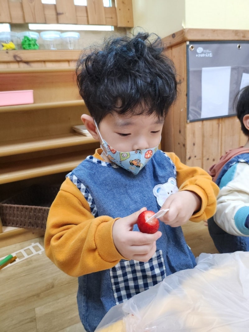 일상열린어린이집 부모참여 수업요리활동과일타르트 만들기 네이버 블로그
