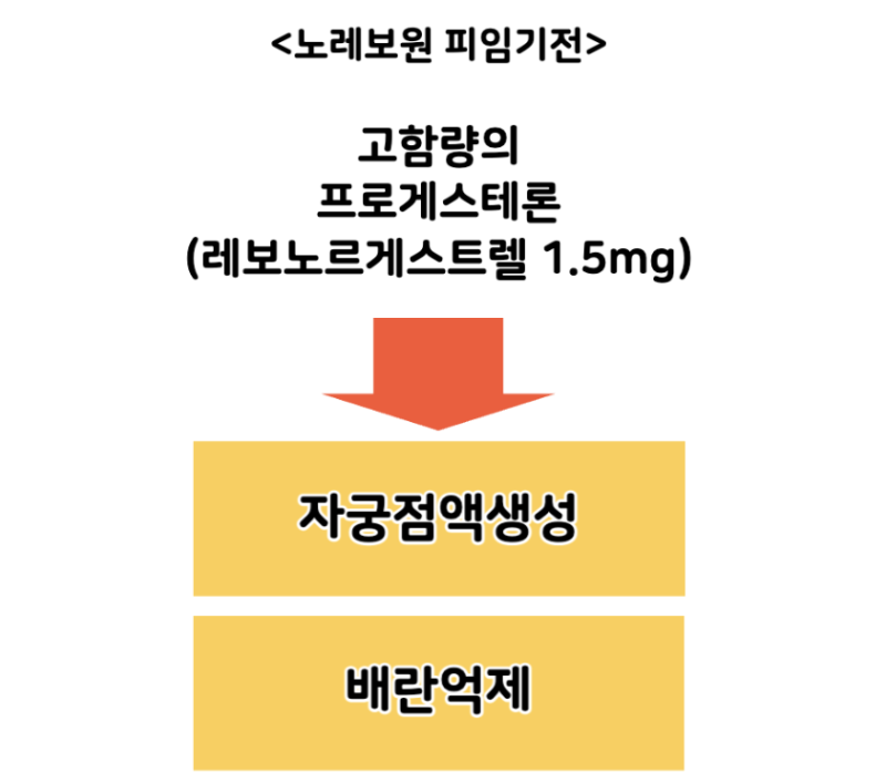 약 In My Bag 엘라원과 노레보원 차이 응급피임약 사후피임약 현대약품 응급피임약의 작용 원리 네이버 블로그
