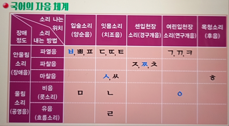[음운] 자음의 분류,자음 체계표 정리,유성음과 무성음,국제 음성 기호 : 네이버 블로그