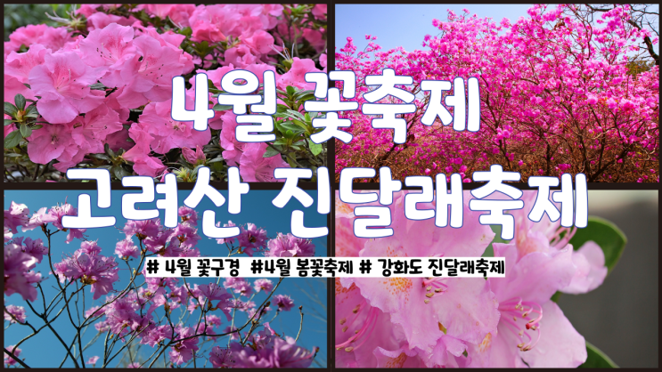 4월 꽃축제 핑크빛으로 물드는 고려산 진달래축제