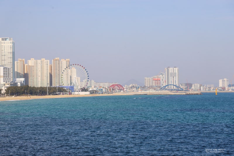 속초 당일치기 코스 속초해수욕장 관람차 외옹치항 둘레길 바다향기로 외옹치해수욕장 네이버 블로그