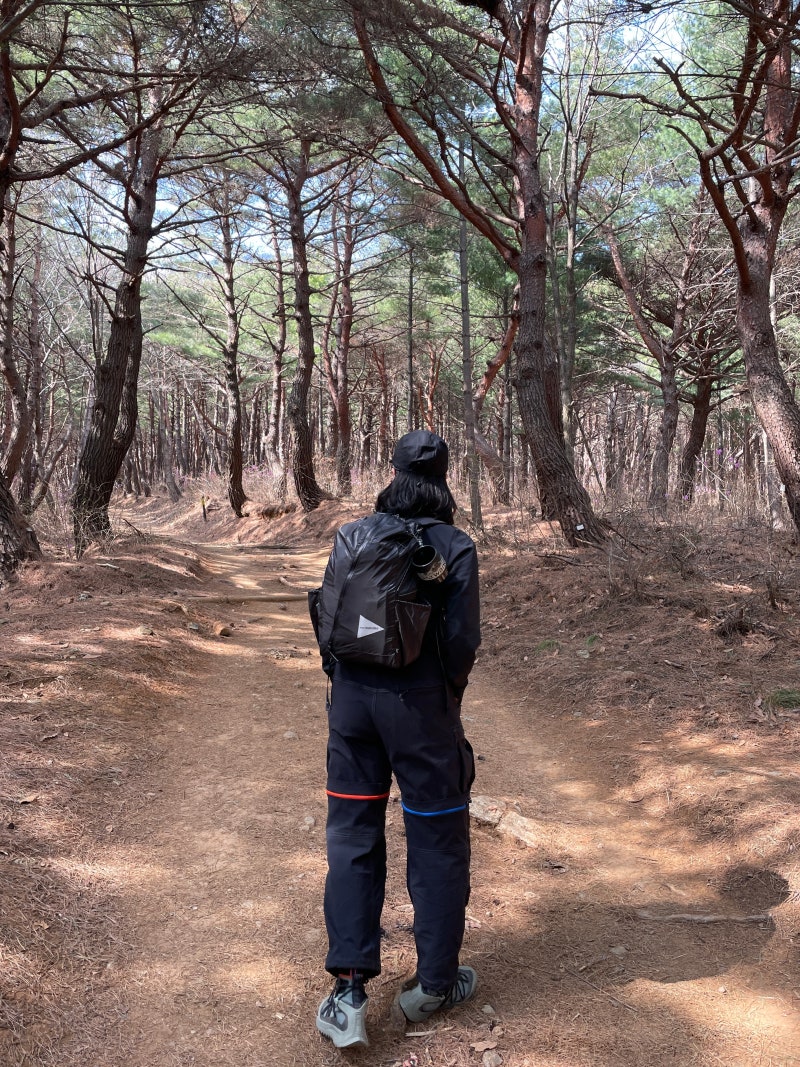 영축산 등산코스 지산마을 축서암 출발 등린이 추천코스 네이버 블로그