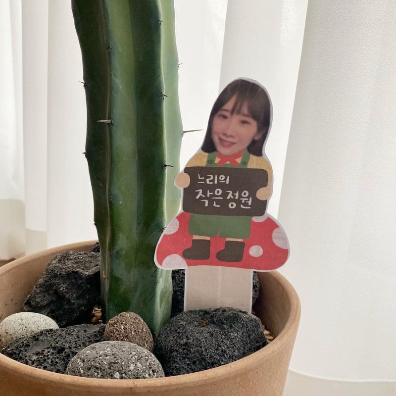 주말한정공유 느리쌤 식목일 화분 이름표 합성도안 네이버 블로그