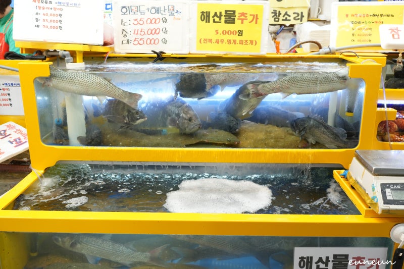아라뱃길회센터 동백수산 가성비 훌륭했던 검암역 횟집 네이버 블로그