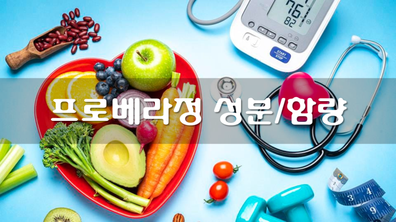 프로베라정 여성질환 황체호르몬 폐경기 자궁내막증 자궁출혈 호르몬부족 프로베라 효능 성분 부작용 주의사항 용법 네이버 블로그