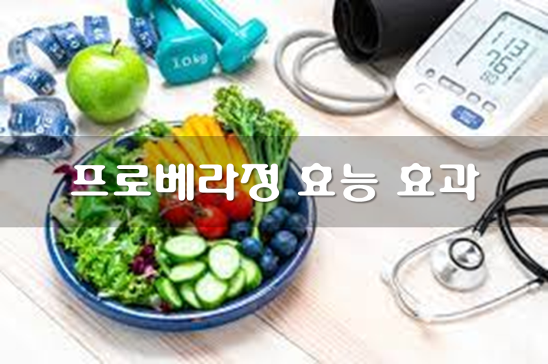프로베라정 여성질환 황체호르몬 폐경기 자궁내막증 자궁출혈 호르몬부족 프로베라 효능 성분 부작용 주의사항 용법 네이버 블로그