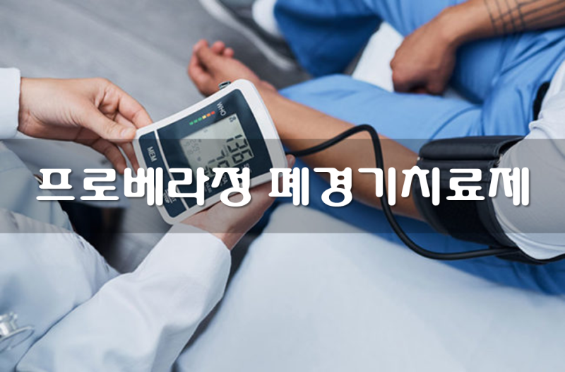 프로베라정 여성질환 황체호르몬 폐경기 자궁내막증 자궁출혈 호르몬부족 프로베라 효능 성분 부작용 주의사항 용법 네이버 블로그