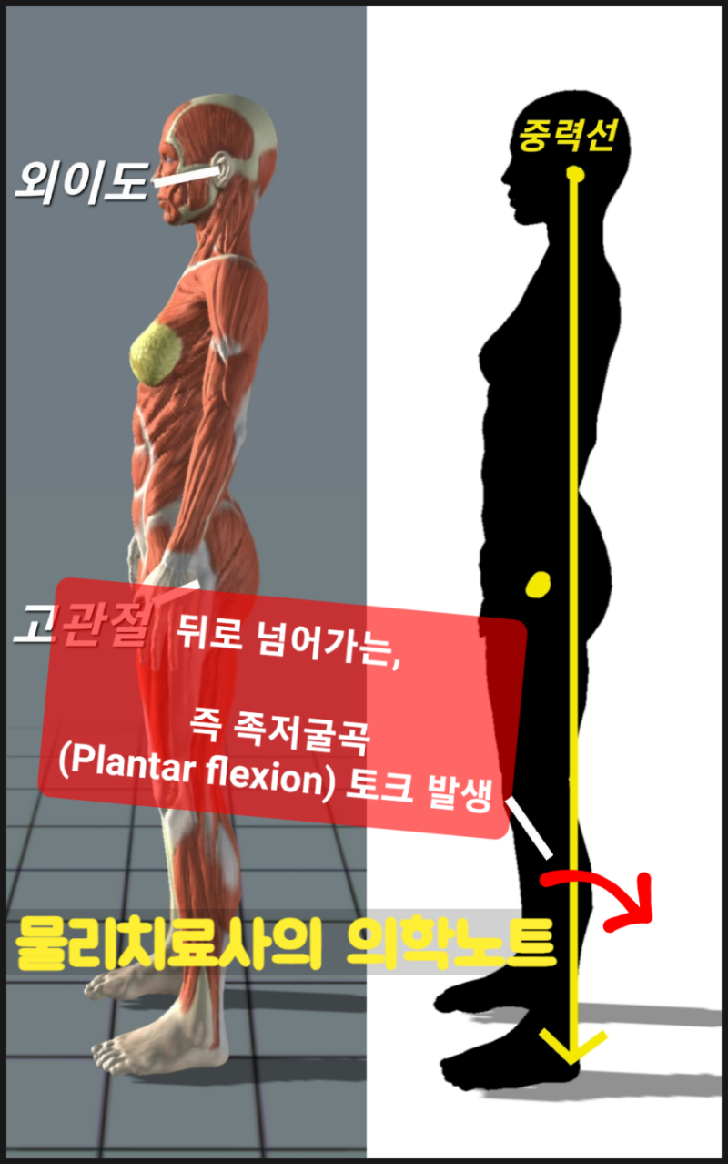 정강이 통증shin Splint 원인 전경골근앞정강근 Tibialis Anterior 긴장 네이버 블로그