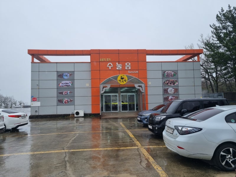 제주도 여행 코스남쪽동쪽북쪽가볼만한곳 1박2일 ː 1일차 물영아리오름쇠소깍섭지코지 네이버 블로그