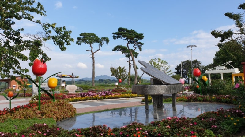 경북 대구 4월 가볼만한곳 하중도 유채꽃 사문진 튤립 화원유원지 겹벚꽃 왕겹벚꽃 화원 옥포 유채꽃꽃여행도동서원모란