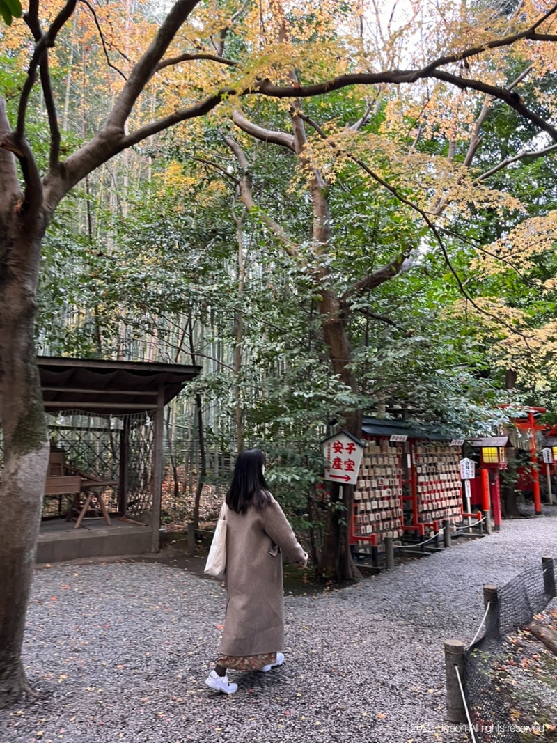 일본 오사카여행 3일차 : 우메다에서 교토 당일치기(아라시야마 치쿠린-기요미즈데라 청수사) 갸아테이 오반자이정식 하나타코 ...