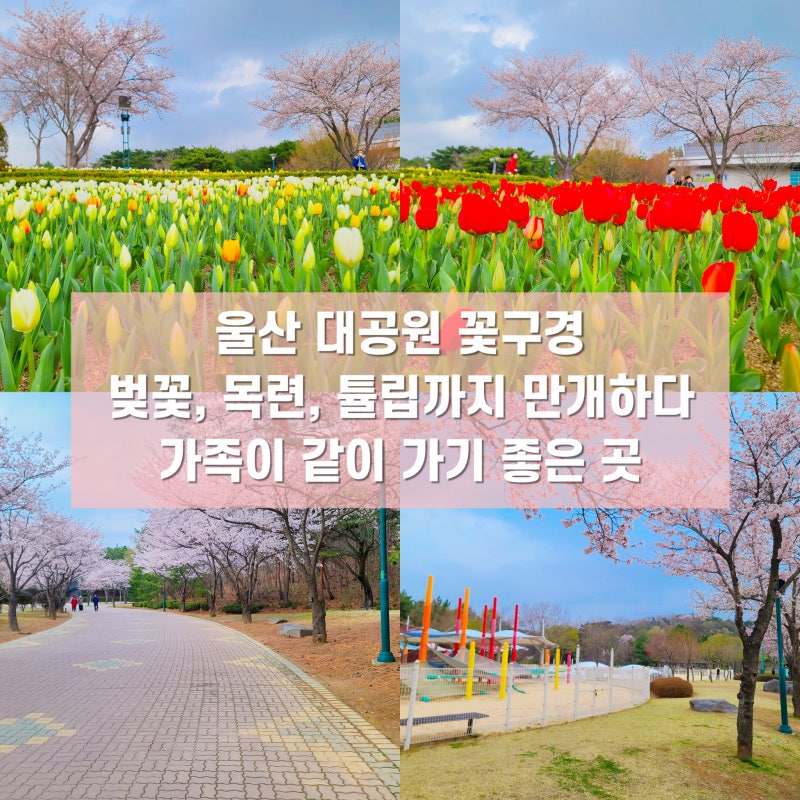 울산대공원 벚꽃 구경 고래놀이터 뜀동산 그물놀이터까지 아이와 같이 가기 좋은 곳 네이버 블로그