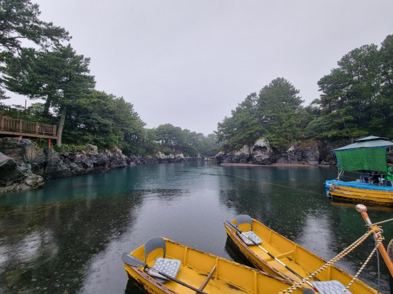 제주도 여행 코스남쪽동쪽북쪽가볼만한곳 1박2일 ː 1일차 물영아리오름쇠소깍섭지코지 네이버 블로그