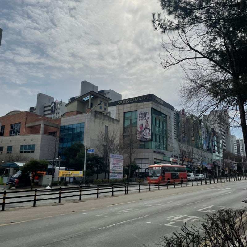분당 정자동 임장후기 한솔마을 한솔주공4단지 한솔한일 통합재건축 한솔주공5단지 한솔주공6단지 네이버 블로그