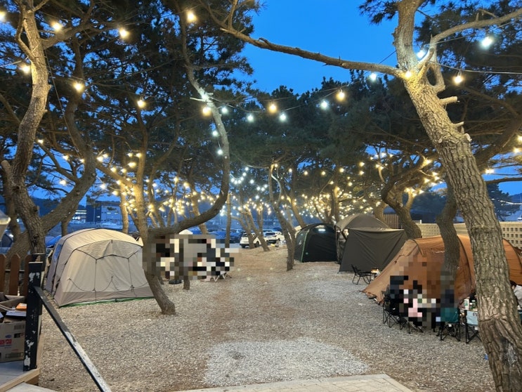 서해캠핑장왕산해수욕장 바로 앞 깨끗하고 관리 잘 된 을왕리 솔트캠핑장 X9텐트 피칭 리뷰
