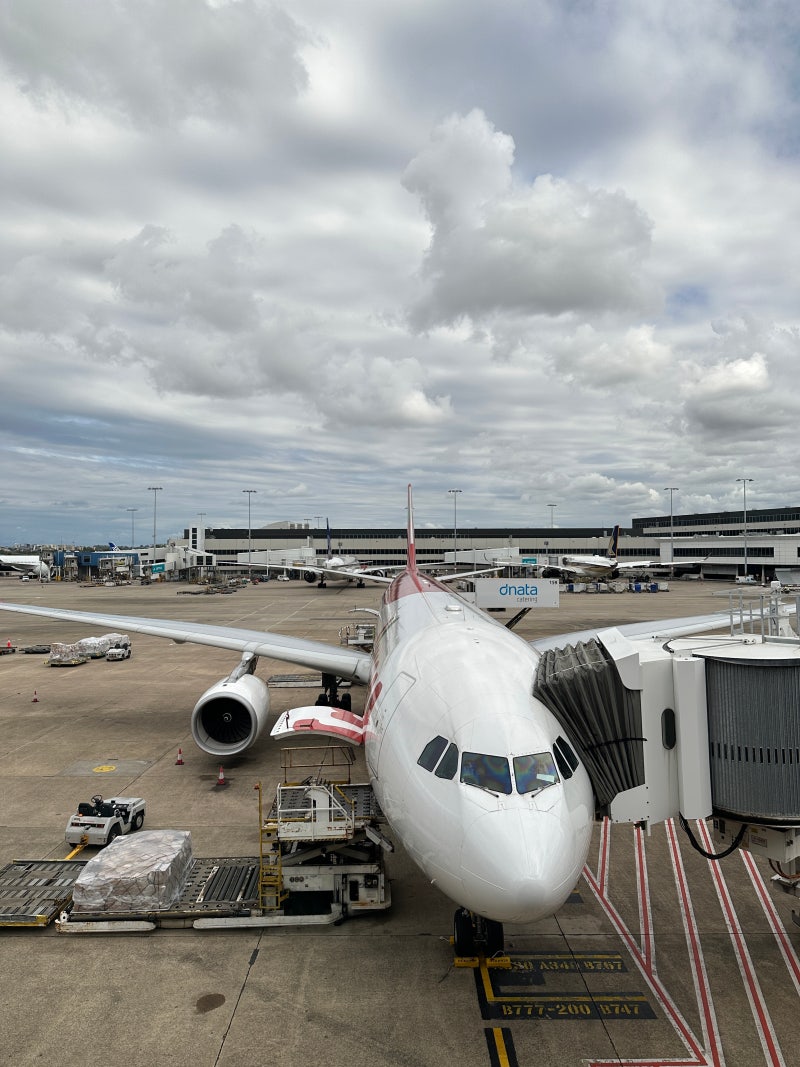 시드니 :: 티웨이항공 TW501 TW502 호주 직항 왕복 탑승후기 : 네이버 블로그