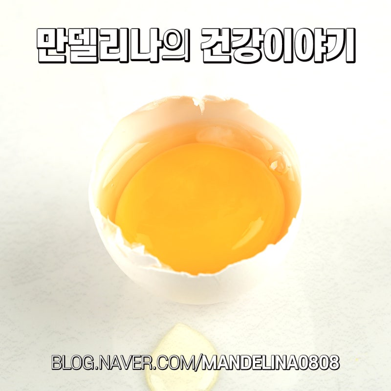 계란 및 노른자 효능과 삶은 계란 칼로리 네이버 블로그