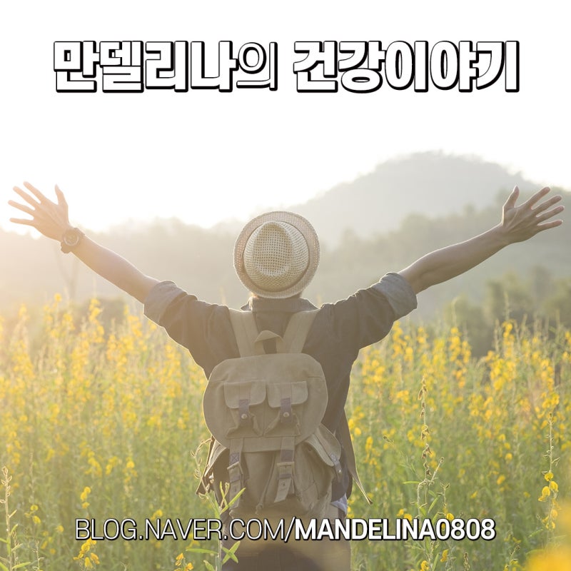계란 및 노른자 효능과 삶은 계란 칼로리 네이버 블로그