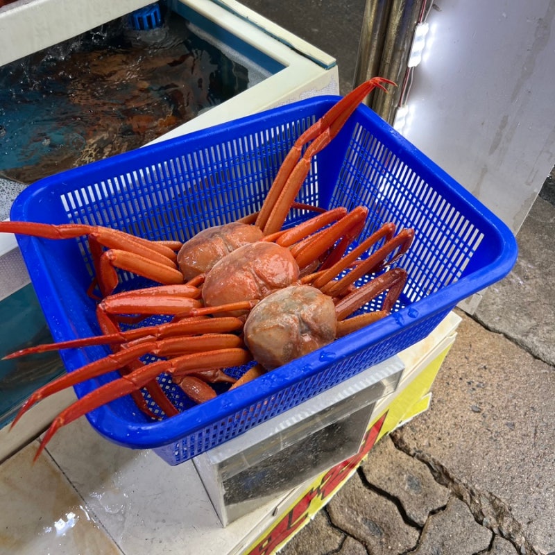 포항 구룡포 대게맛집 서비스가 푸짐한 행복대게회 2호점 구룡포 맛집 네이버 블로그