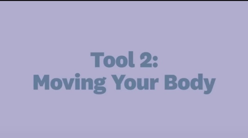(TED)How to calm your anxiety, from a neuroscientist Wendy Suzuki • The ...