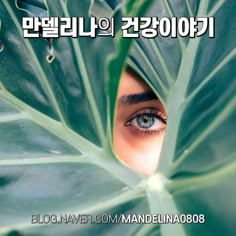 계란 및 노른자 효능과 삶은 계란 칼로리 네이버 블로그