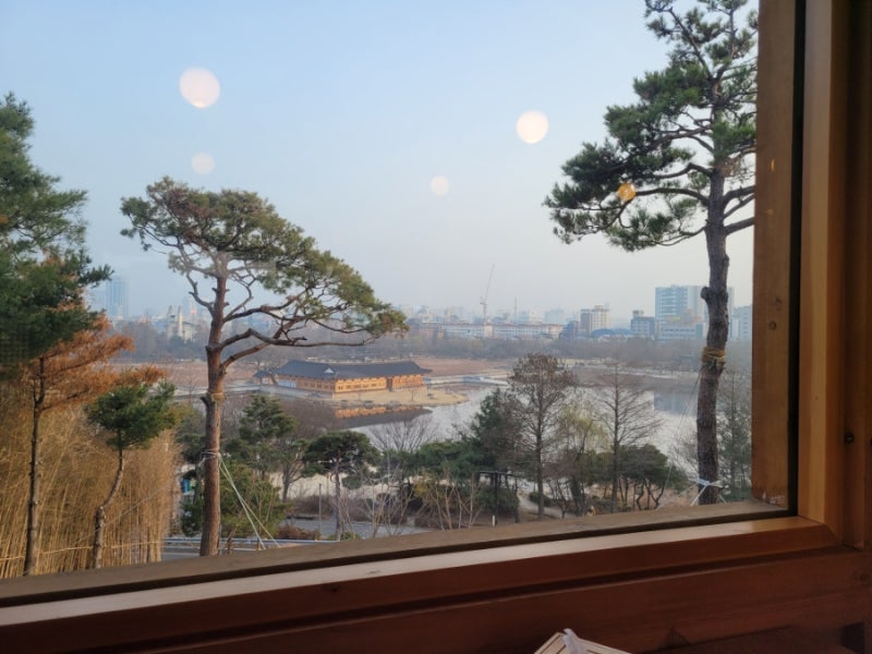 전주 덕진헌 한우정육식당 덕진공원이 보이는 맛집 네이버 블로그