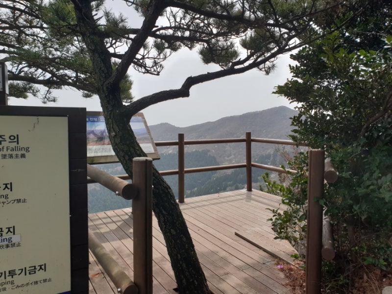 섬and산 고흥 나로도 봉래산 편백숲 등산코스 무선국주차장~봉래산~용송~시름재~편백삼나무숲 다도해해상국립공원 여행 네이버 블로그