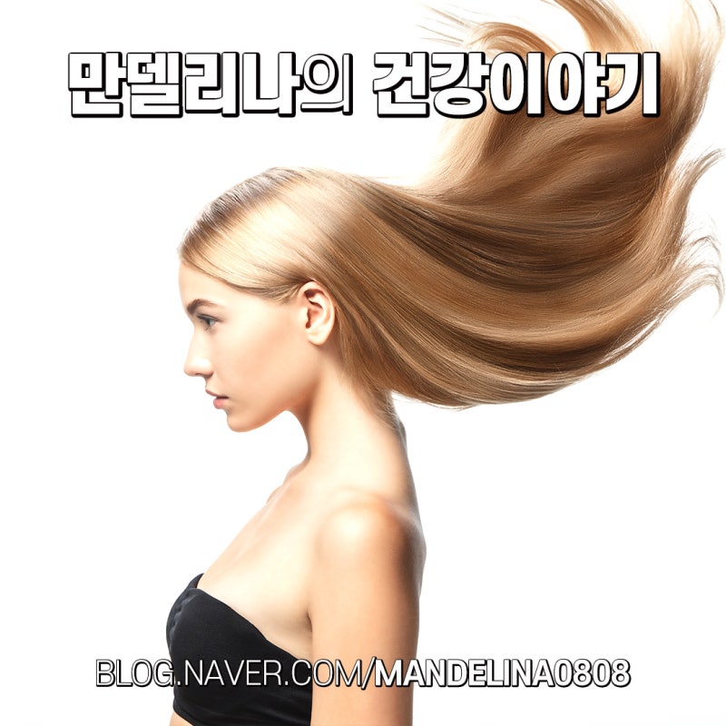 계란 및 노른자 효능과 삶은 계란 칼로리 네이버 블로그