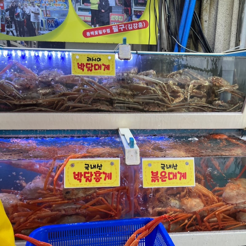 포항 구룡포 대게맛집 서비스가 푸짐한 행복대게회 2호점 구룡포 맛집 네이버 블로그