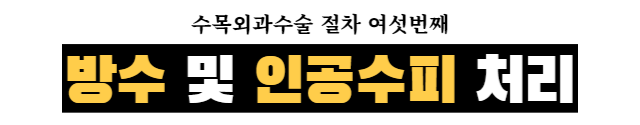 수목 외과수술 이 글 하나로 종결합니다 네이버 블로그