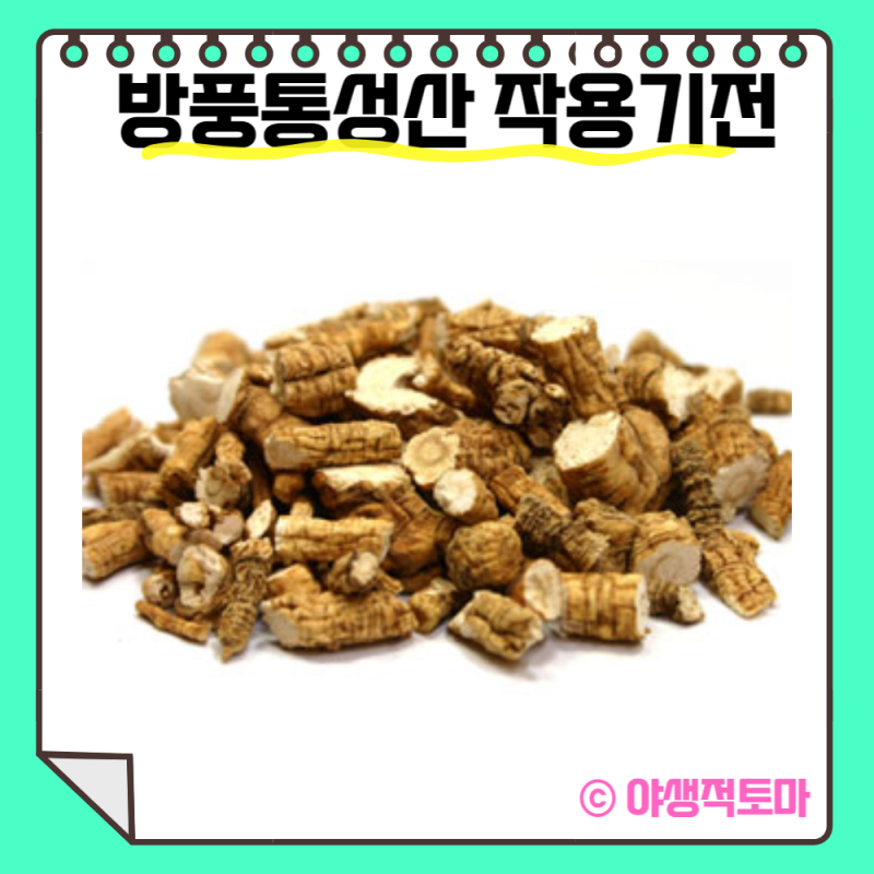 비만약 방풍통성산 Vs 방기황기탕 아시원정 나오미정 성분 작용기전 효능 부작용 네이버 블로그