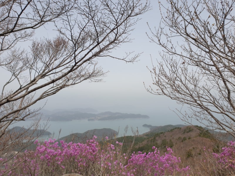 섬and산 고흥 나로도 봉래산 편백숲 등산코스 무선국주차장~봉래산~용송~시름재~편백삼나무숲 다도해해상국립공원 여행 네이버 블로그