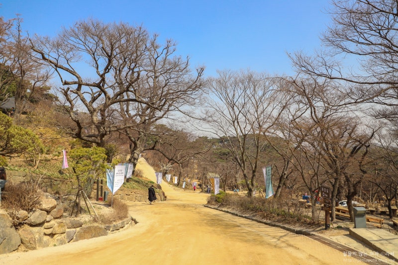강화도 루지 할인 팁케이블카 인천 강화도 당일치기 놀거리 가볼만한곳 네이버 블로그
