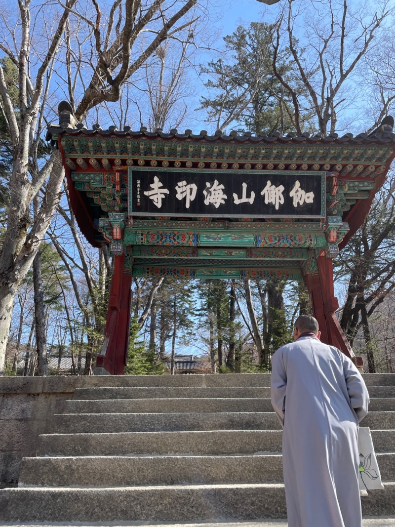 [여행/역사] 합천 해인사 팔만대장경 탐방하기 : 네이버 블로그