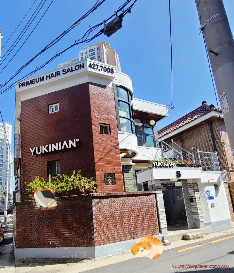 대구 삼덕동 미용실 동성로 여자 빌드펌 유키니언8호 네이버 블로그