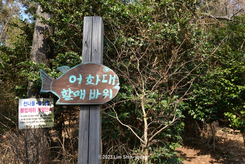 전라북도 군산시 선유도 가볼 만한 곳 고 군산 군도의 선유도 대장봉 네이버 블로그