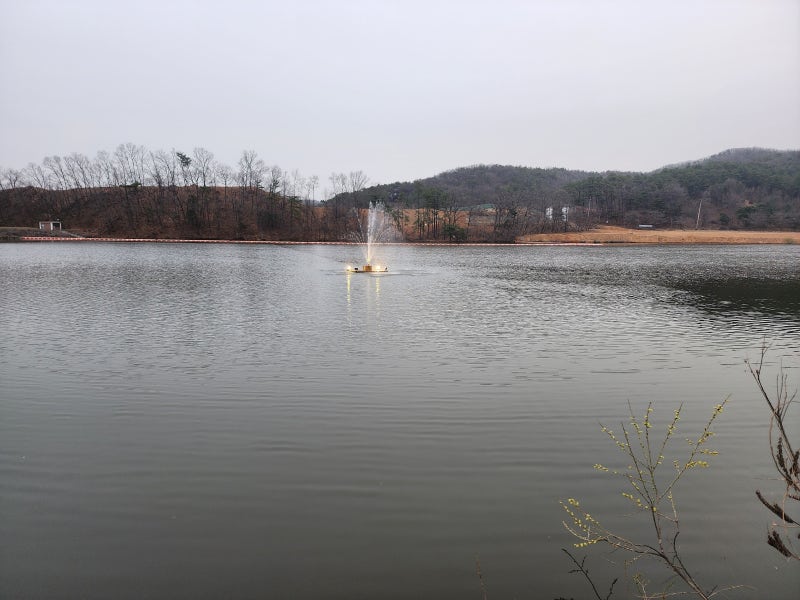 안성가볼만한곳 안성팜랜드 관람후 저녁은 안성맛집 숯불갈비소나무향기 네이버 블로그