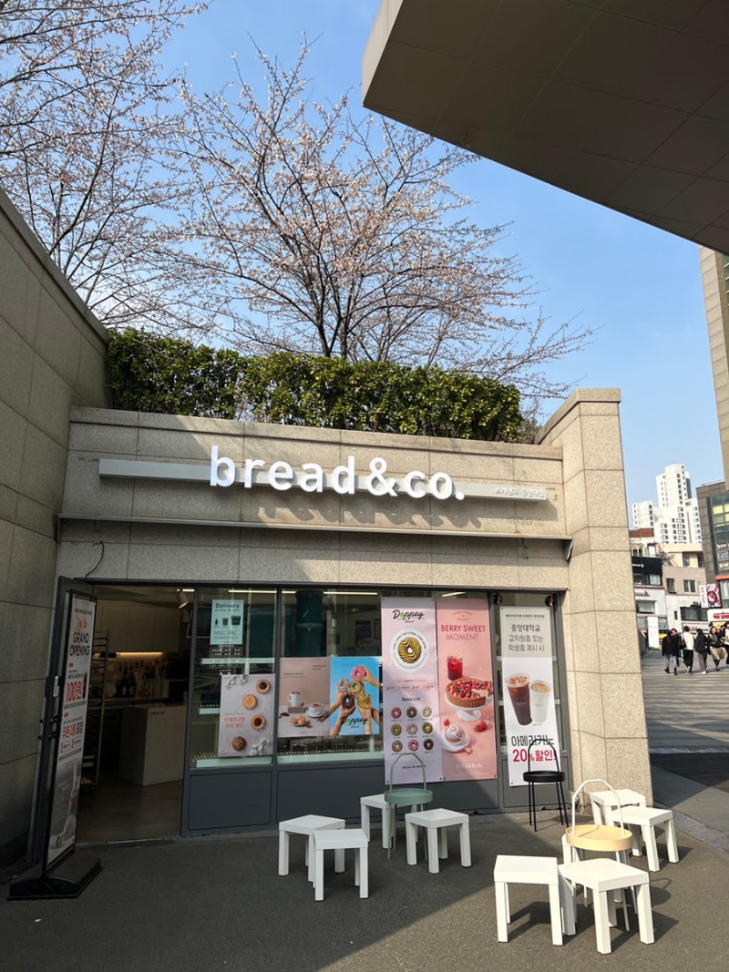 중앙대 카페 맛집 브레댄코 샐러드 네이버 블로그