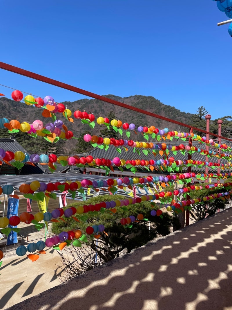 [여행/역사] 합천 해인사 팔만대장경 탐방하기 : 네이버 블로그