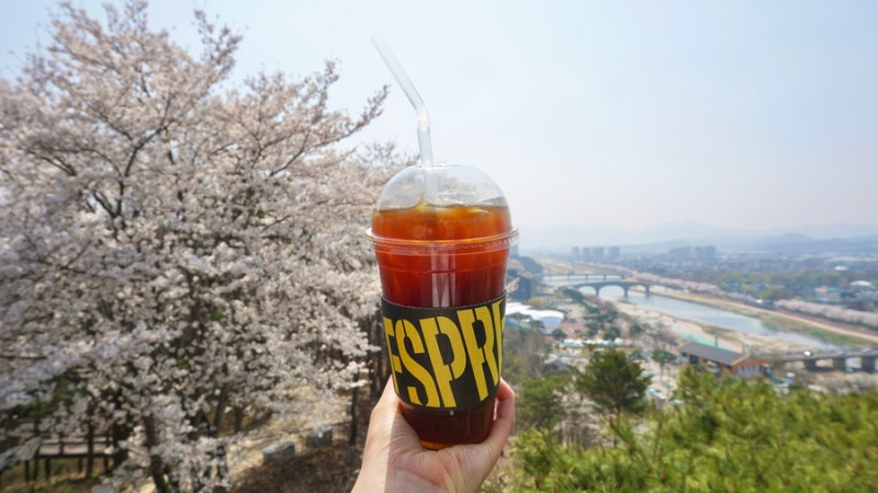 남원 벚꽃카페 남원 시내가 한눈에 보이는 남원 원각사전망대커피숍 네이버 블로그