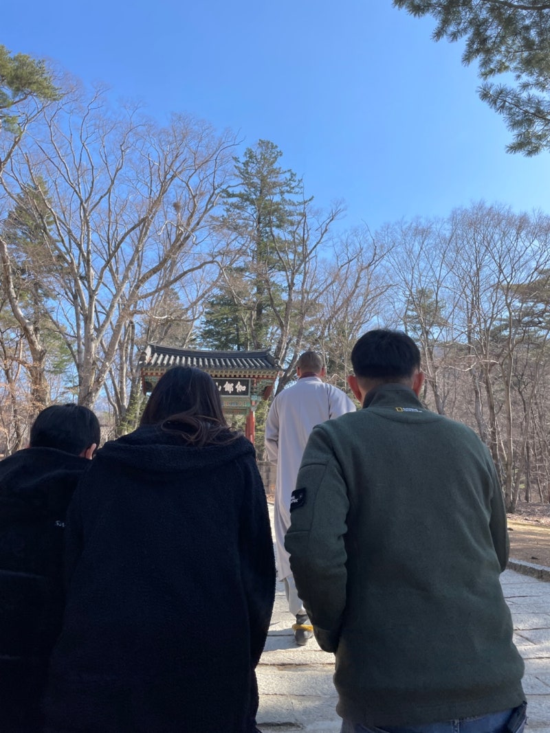 [여행/역사] 합천 해인사 팔만대장경 탐방하기 : 네이버 블로그